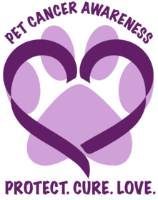 Cancer in pets