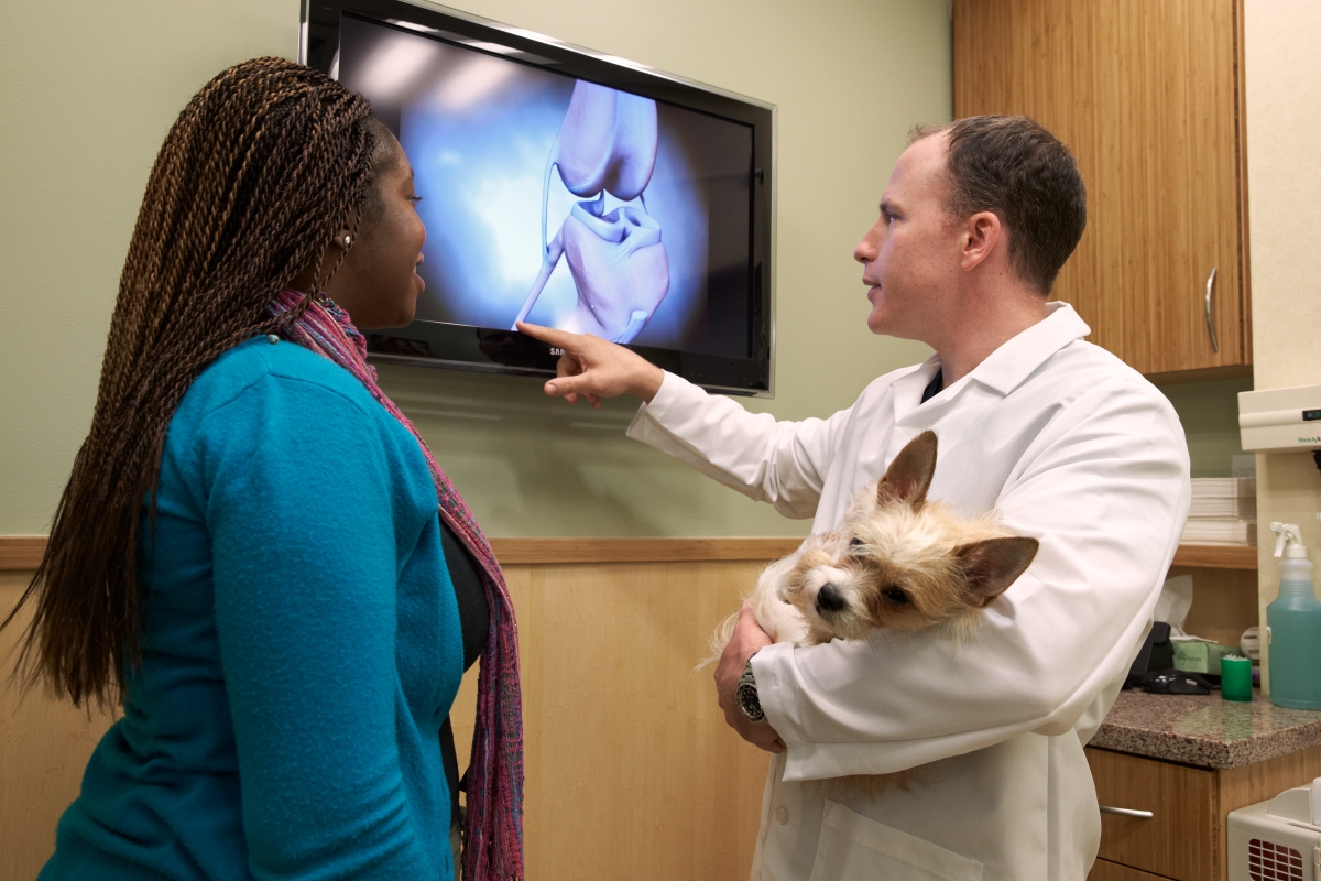 Oncology - Friendship Hospital for Animals