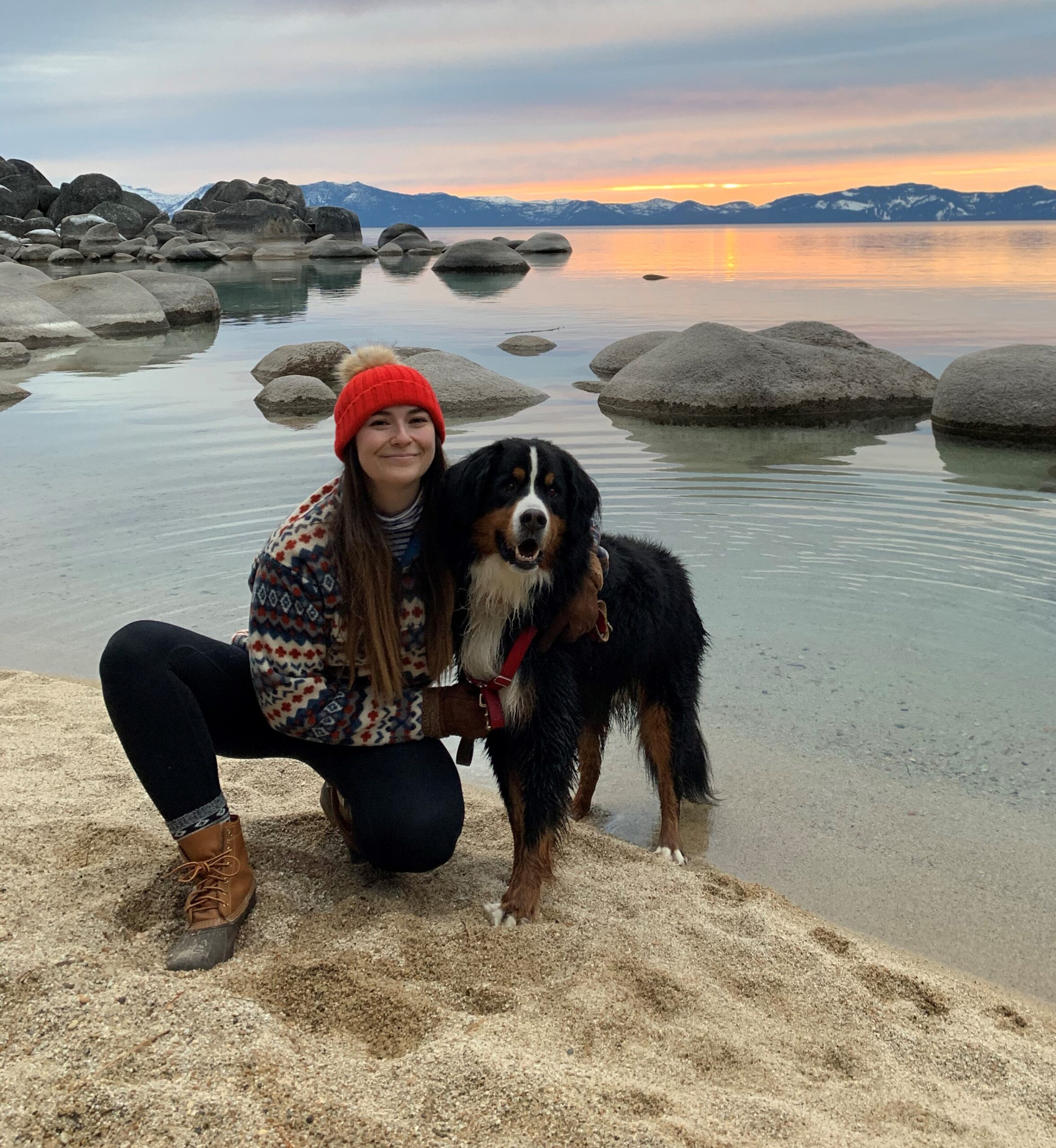 Jacqueline Nemi - Friendship Hospital for Animals